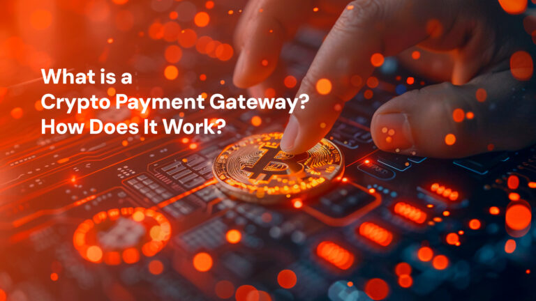 What is a Crypto Payment Gateway? How Does It Work? - Blog - Bitpace